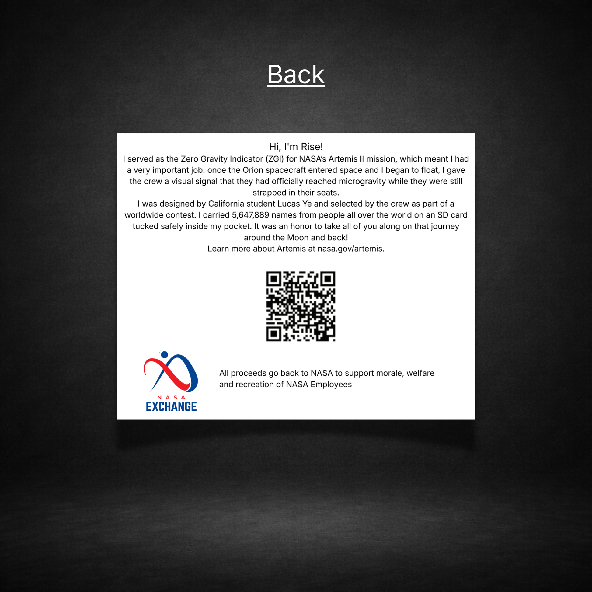 Rise Sticker Sheet – NASA Exchange